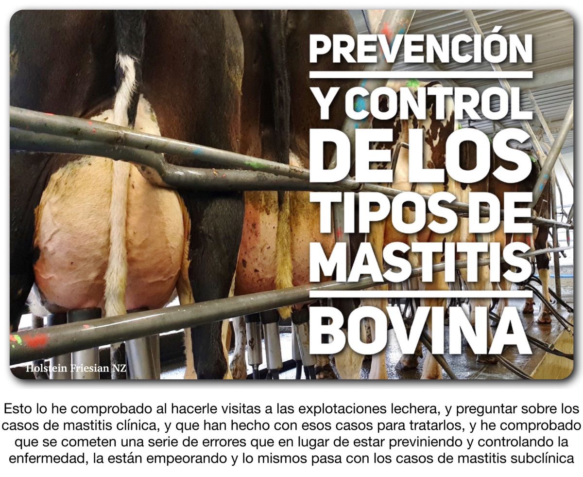 PREVENCIÓN Y CONTROL DE LOS TIPOS DE MASTITIS BOVINA – GANADERIA SOS