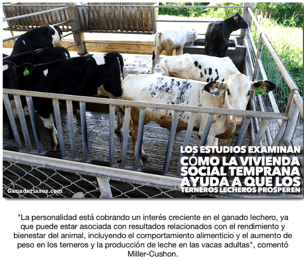 LOS ESTUDIOS EXAMINAN CÓMO LA VIVIENDA SOCIAL TEMPRANA AYUDA A QUE LOS ...